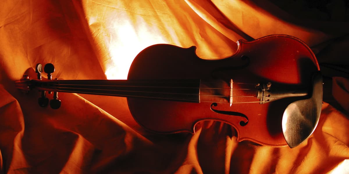 Alexander Accessories: Turned parts for Violins & Violas | APT Leicester